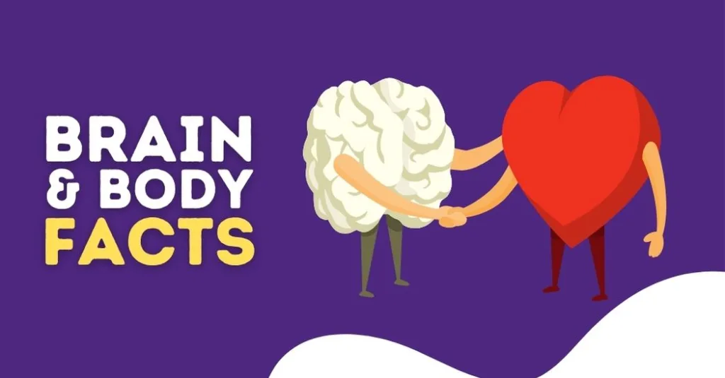 60+ Surprising Brain Facts You Need to Know Now + Quiz