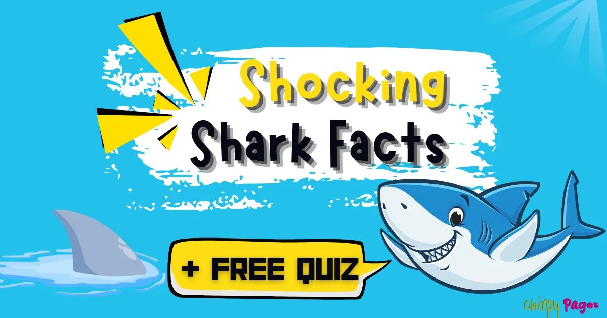 25 Shocking Shark Facts That Will Blow Your Mind